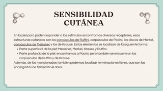 SENTIDOS SOMÁTICOS como definición, sinestecia, parapsicologia (1).pdf