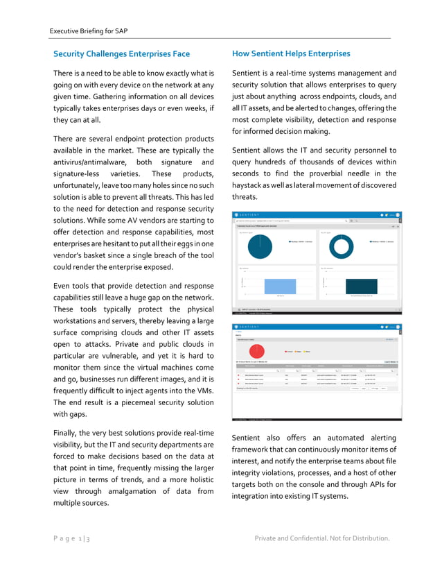 Accelerite Sentient Executive Briefing | PDF