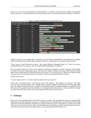 SentimentAnalysisofTwitterProductReviewsDocument.pdf
