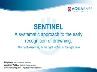 Sentinel | PPS
