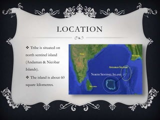 Sentinelese Tribe | PPTX