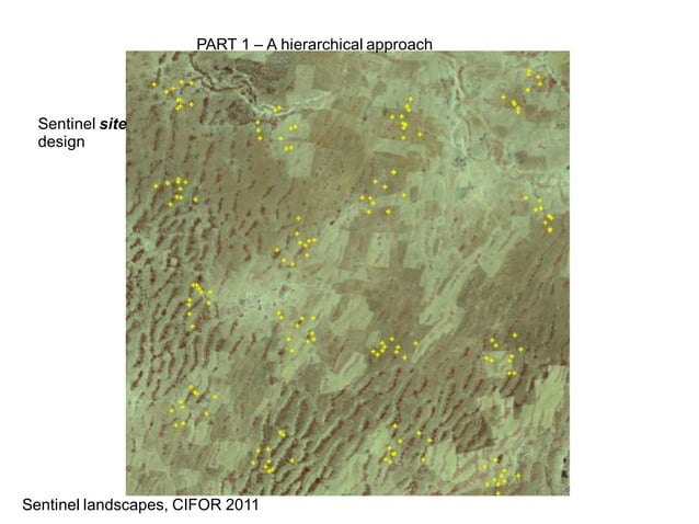 Remote sensing as landscape inventory tool | PDF