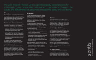 Sentis sentinel safety | PDF