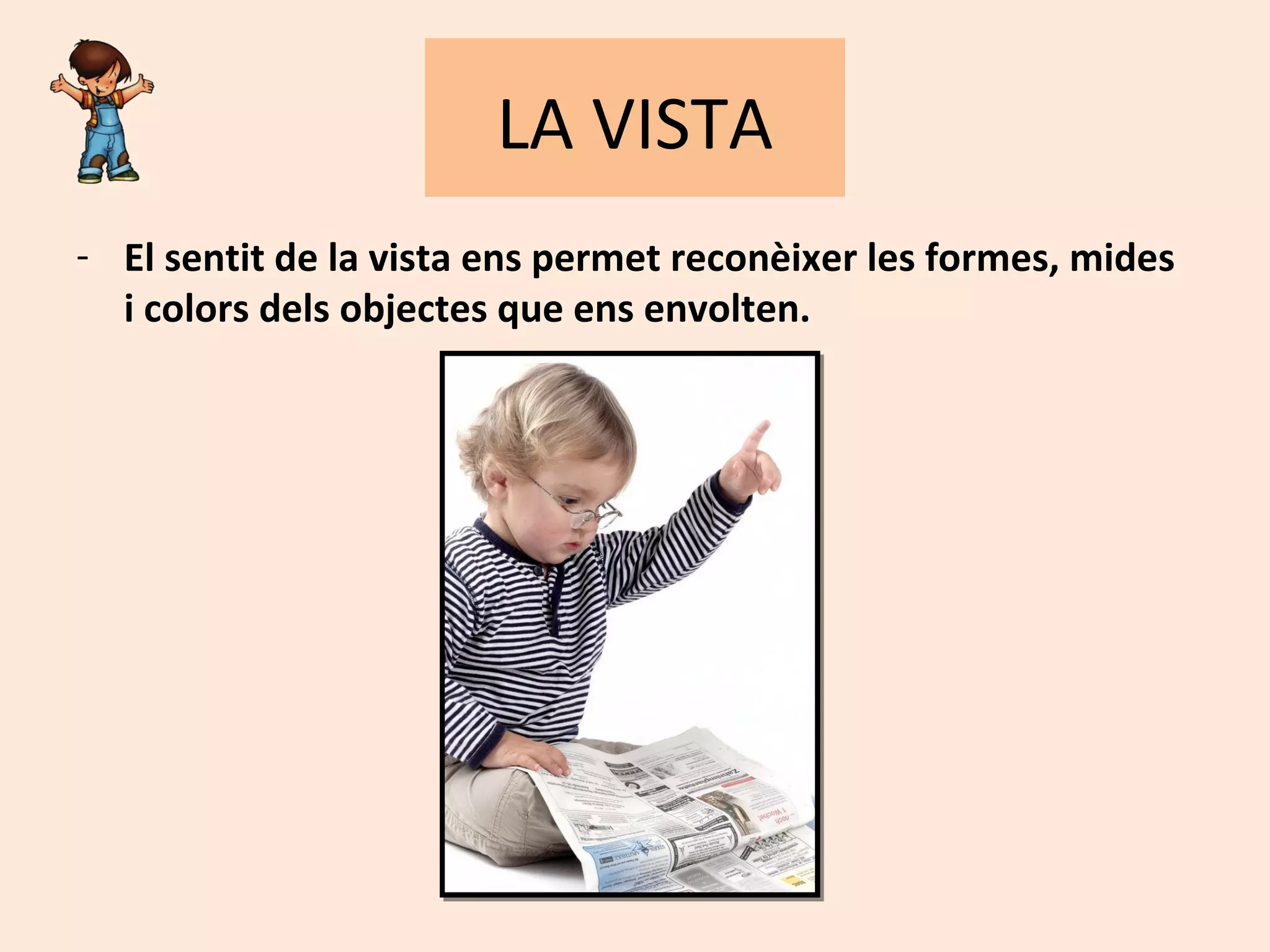 Els sentits | PPT