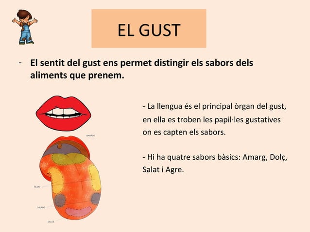 Els sentits | PPT