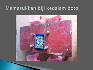 Sentra bahan alam | PPT | Free Download