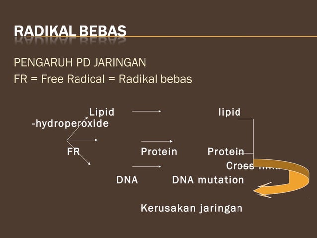 Senyawa bioaktif | PPT