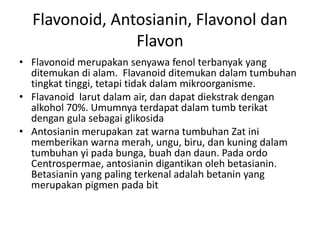 Senyawa fenol | PPTX