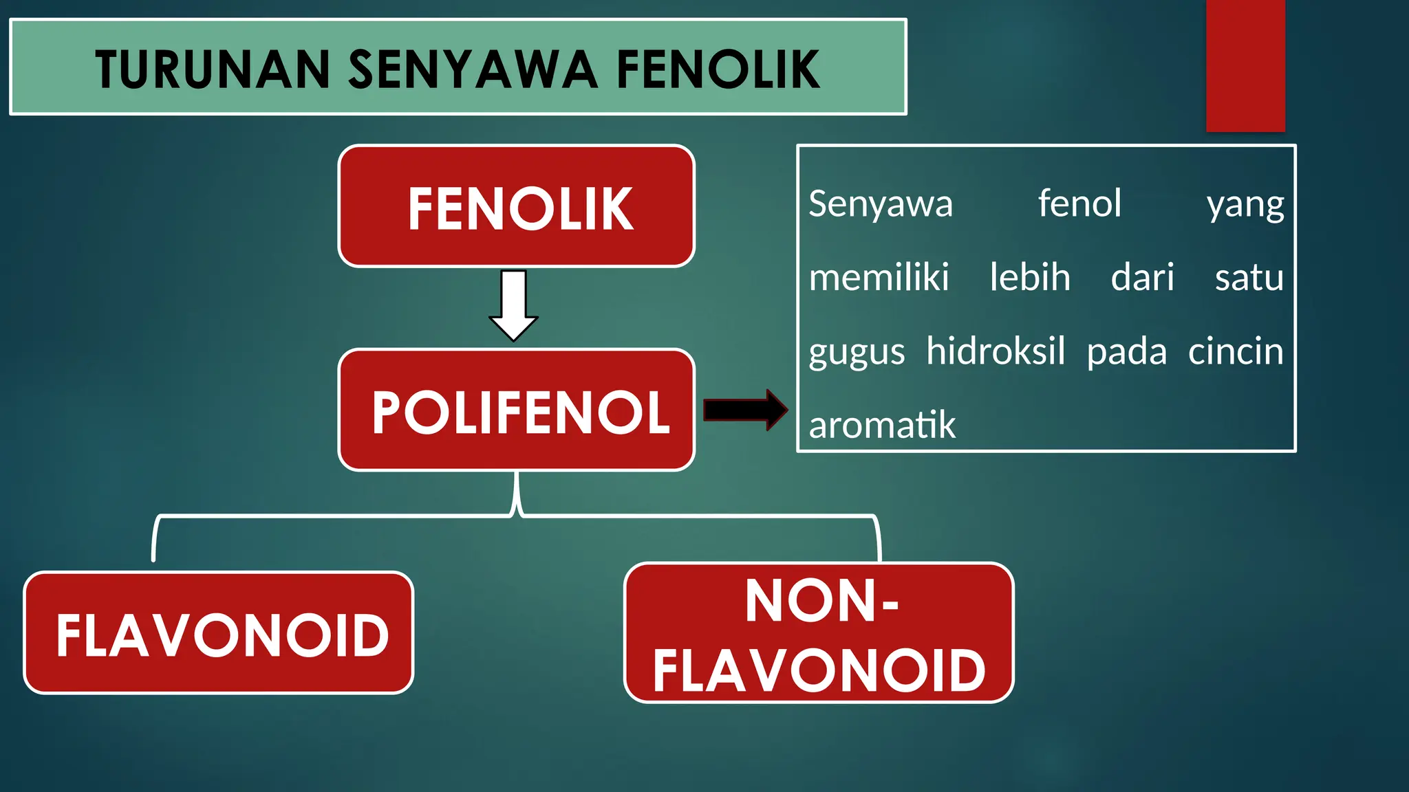 SENYAWA FENOLIK.pptxxxxxxxxxxxxxxxxxxxxx | PPTX