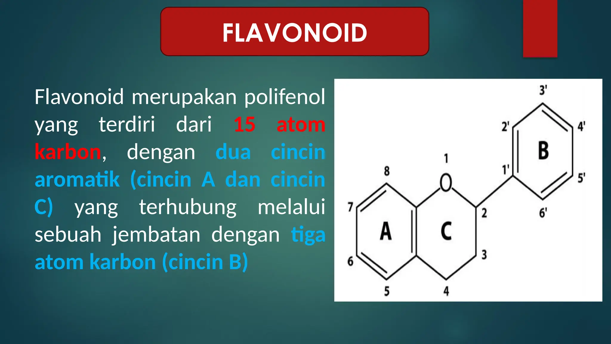 SENYAWA FENOLIK.pptxxxxxxxxxxxxxxxxxxxxx | PPTX