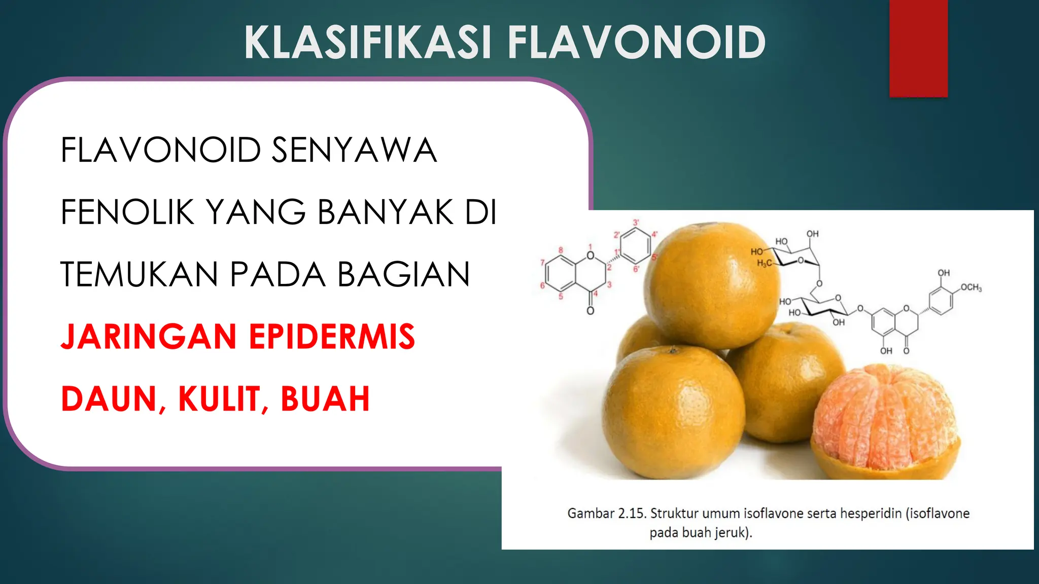 SENYAWA FENOLIK.pptxxxxxxxxxxxxxxxxxxxxx | PPTX