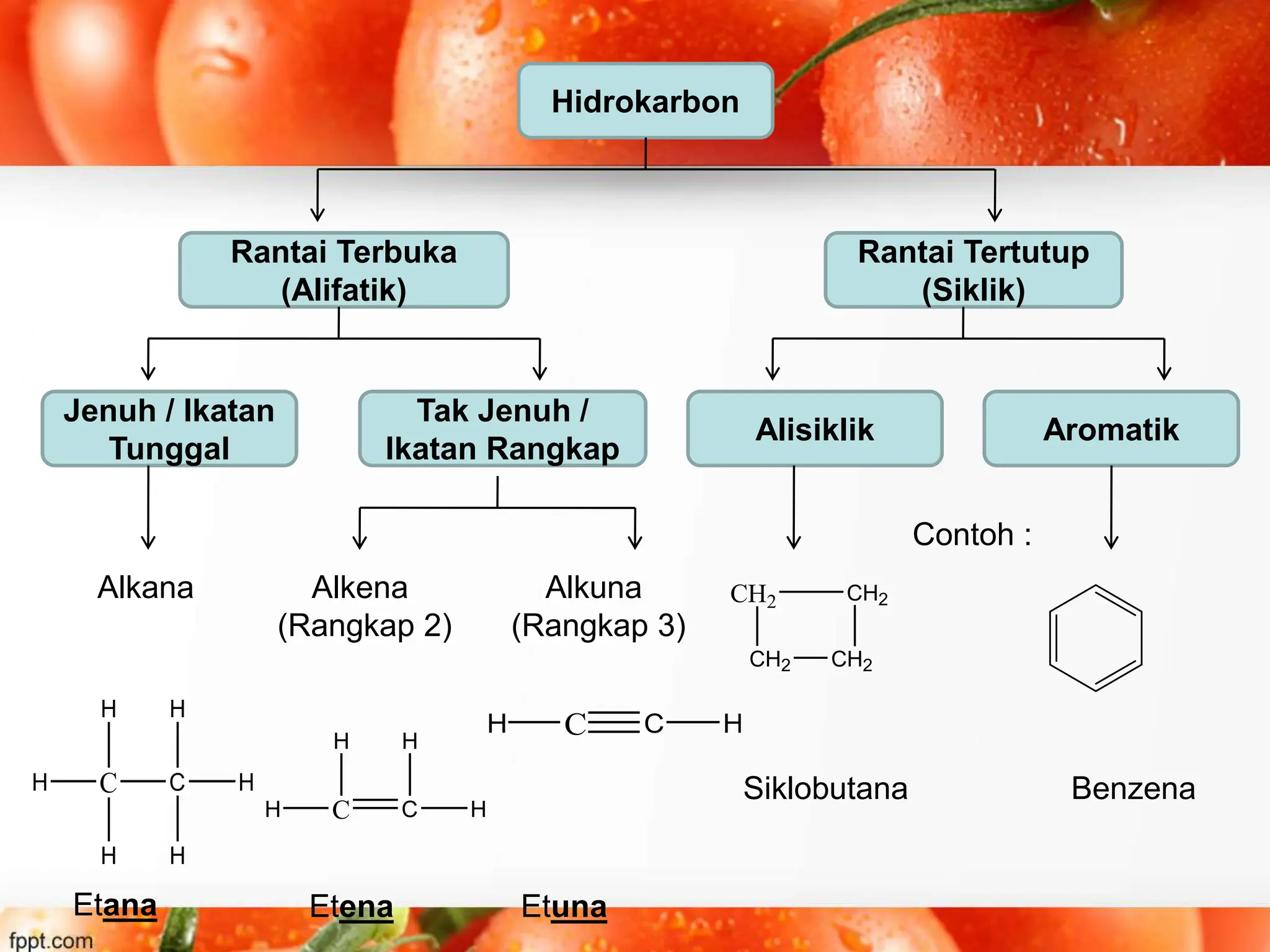 Senyawa Karbon Turunan Hidrokarbon (Alkana) | PPT