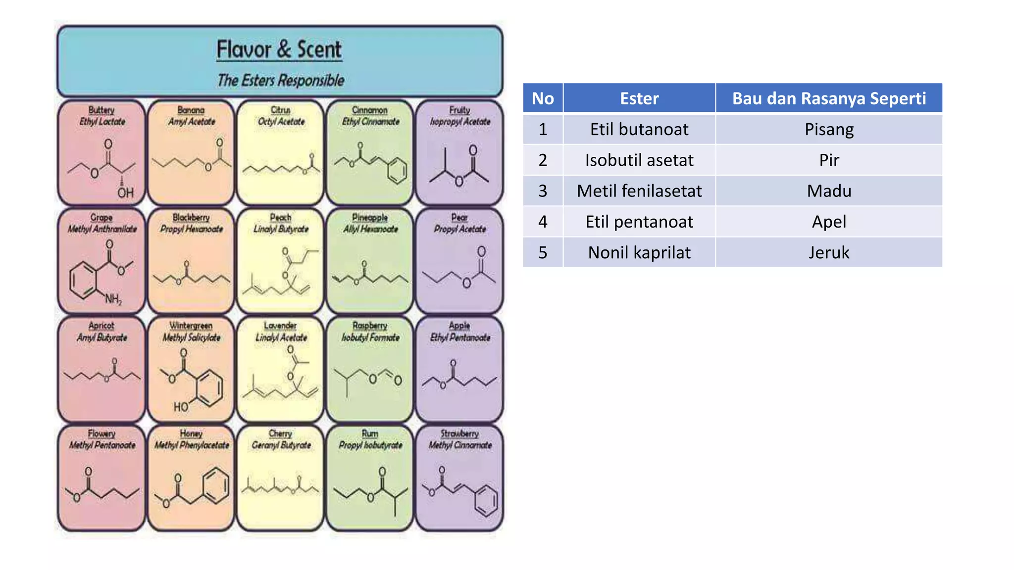Senyawa organik.pptx