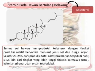 Senyawa steroid | PPTX