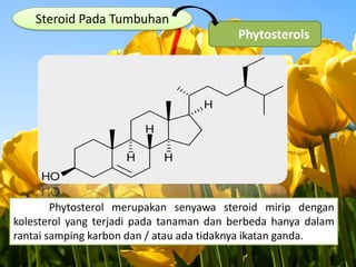 Senyawa steroid | PPTX
