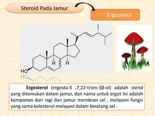 Senyawa steroid | PPTX