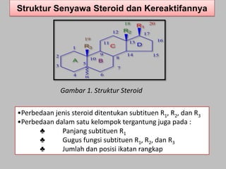 Senyawa steroid | PPTX