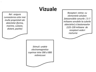 Senzatii modalitati senzoriale | PPTX