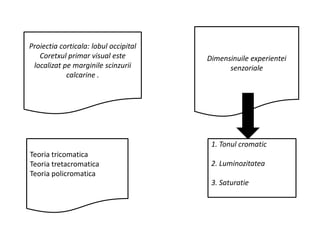 Senzatii modalitati senzoriale | PPTX
