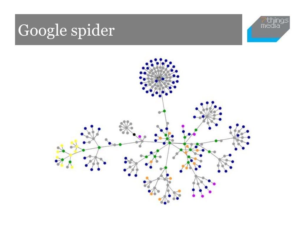 Google spider