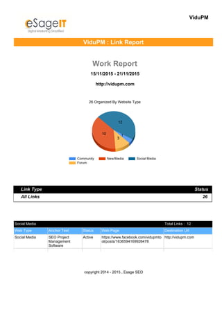 SEO Performance Report | PDF