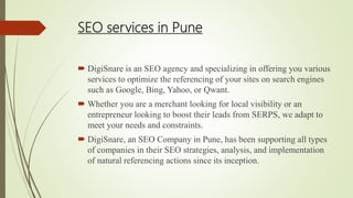SEO Company in Pune | PPTX | Search | Internet