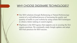 SEO Company in Pune | PPTX | Search | Internet