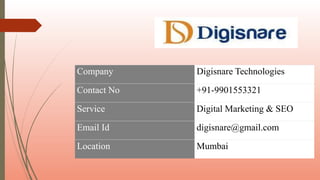 SEO Company in Pune | PPTX | Search | Internet