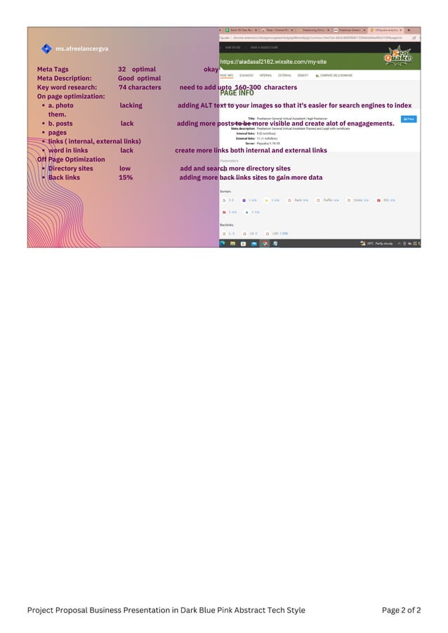 SEO Plan by. Anelita Villanueva.pdf