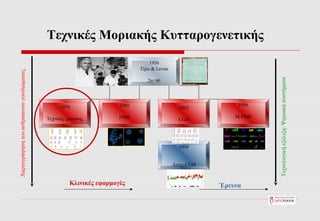 Chronic Myeloid Leukemia (CML) Cytogenetic diagnosis and follow up | PPT
