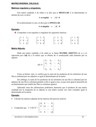 Separata de matrices | PDF