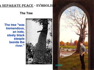 Separate Peace Symbols | PPT