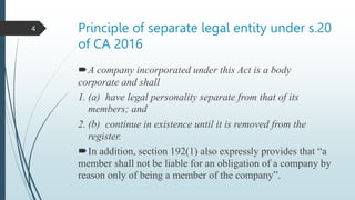 Separate Legal Entity CA2016.pptx