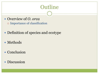 Separate orca populations presentation | PPTX