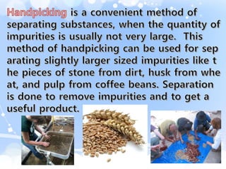 Separating Mixtures Handpicking | PPTX