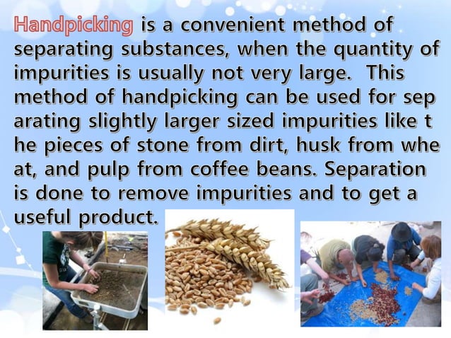 Separating Mixtures Handpicking | PPTX | Chemistry | Science