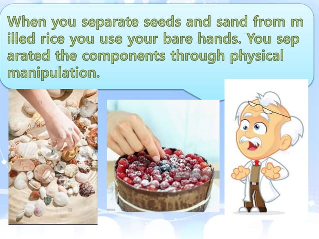 Separating Mixtures Handpicking | PPTX | Chemistry | Science