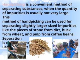 Separating Mixtures Handpicking.ppt Grade 6 | PPTX