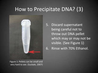 Separating+Mixtures+In+Industries | PPT