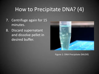 Separating+Mixtures+In+Industries | PPT