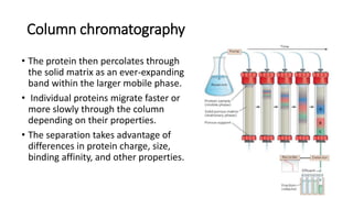 Separation and Purification of Proteins.pdf