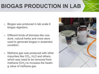 Separation of CO2 and Moisture from biogas by Adsorption method | PPTX