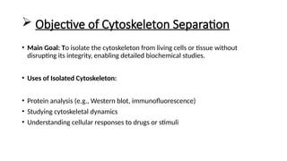 Separation of Cytoskeleton from Living Tissue.pptx