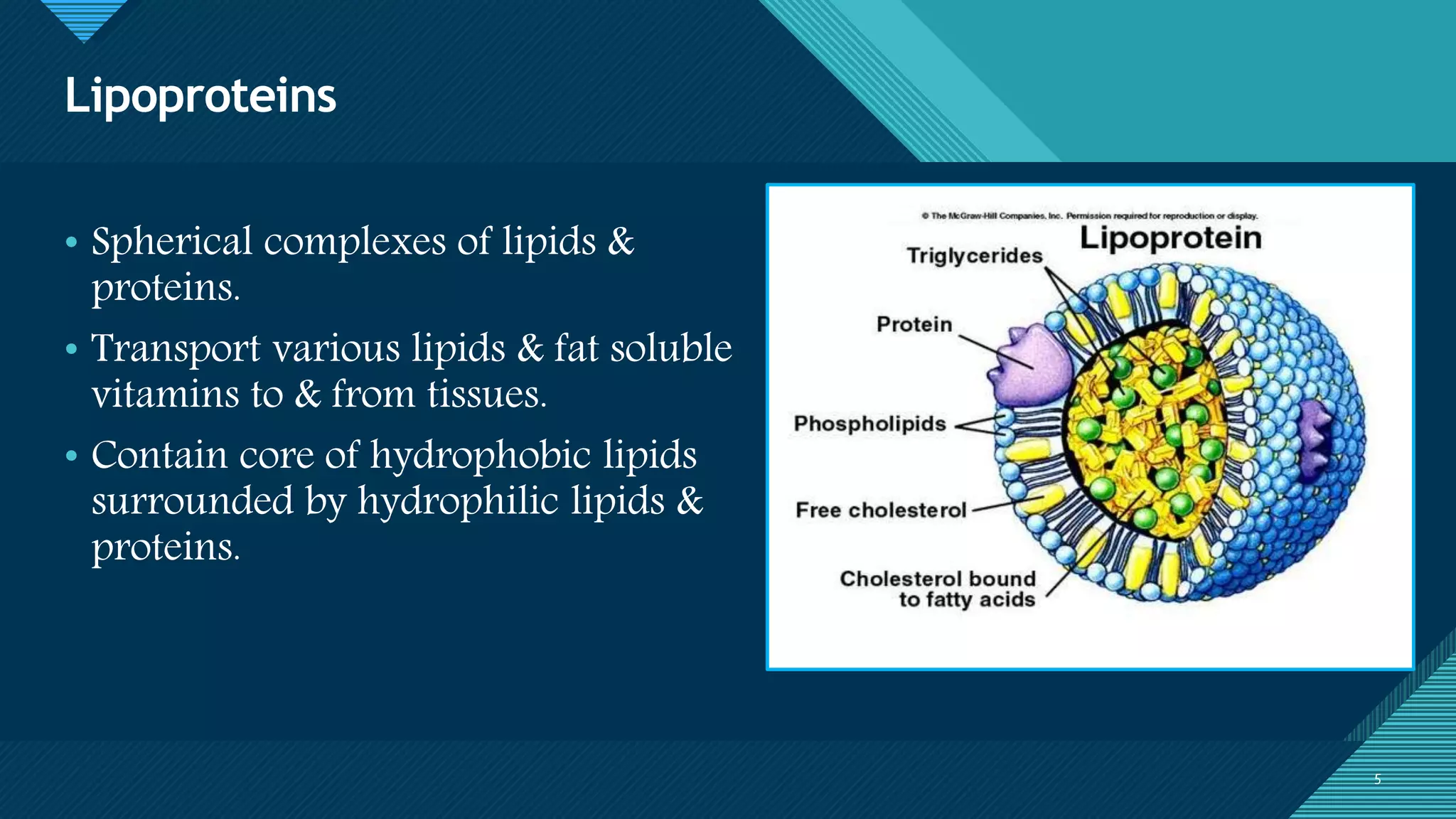 Separation and Identification of Lipids by Gel Electrophoresis | PPTX