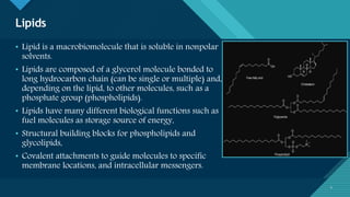 Separation and Identification of Lipids by Gel Electrophoresis | PPTX