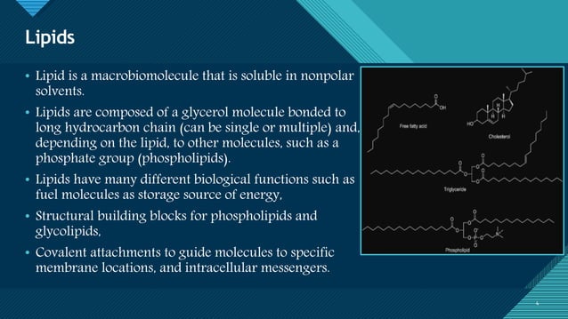 Separation and Identification of Lipids by Gel Electrophoresis | PPTX