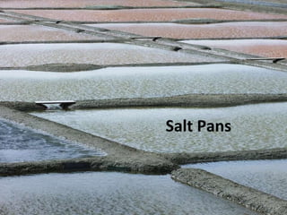 SEPARATION OF MIXTURES FOR CLASS VI | PPT