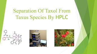Separation of taxol s | PPTX