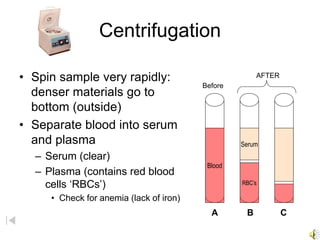 Separation Techniques.ppt