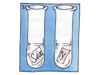 Separation Techniques (1).ppt